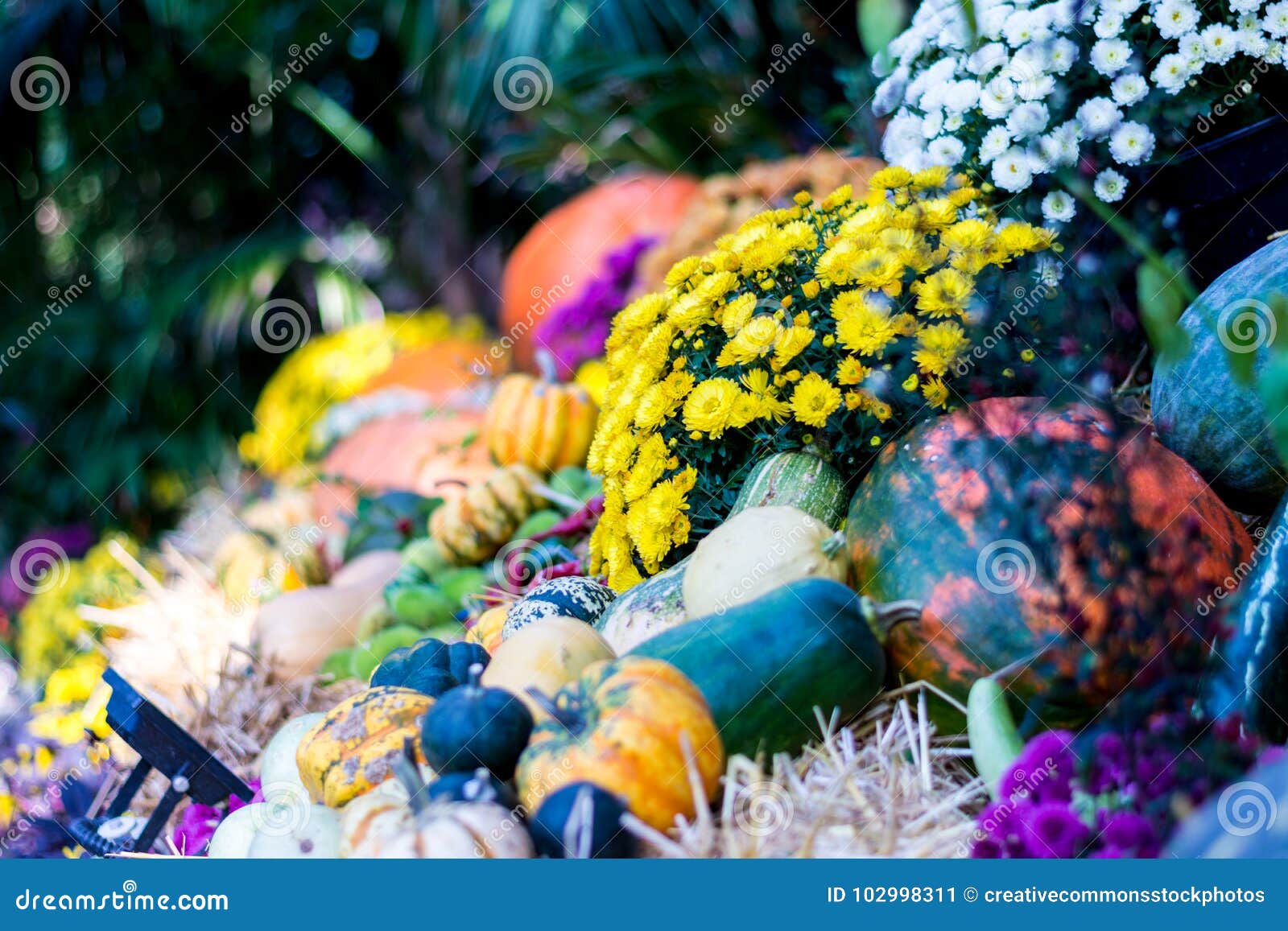 Bright, Celebration, Colors Picture. Image: 102998311