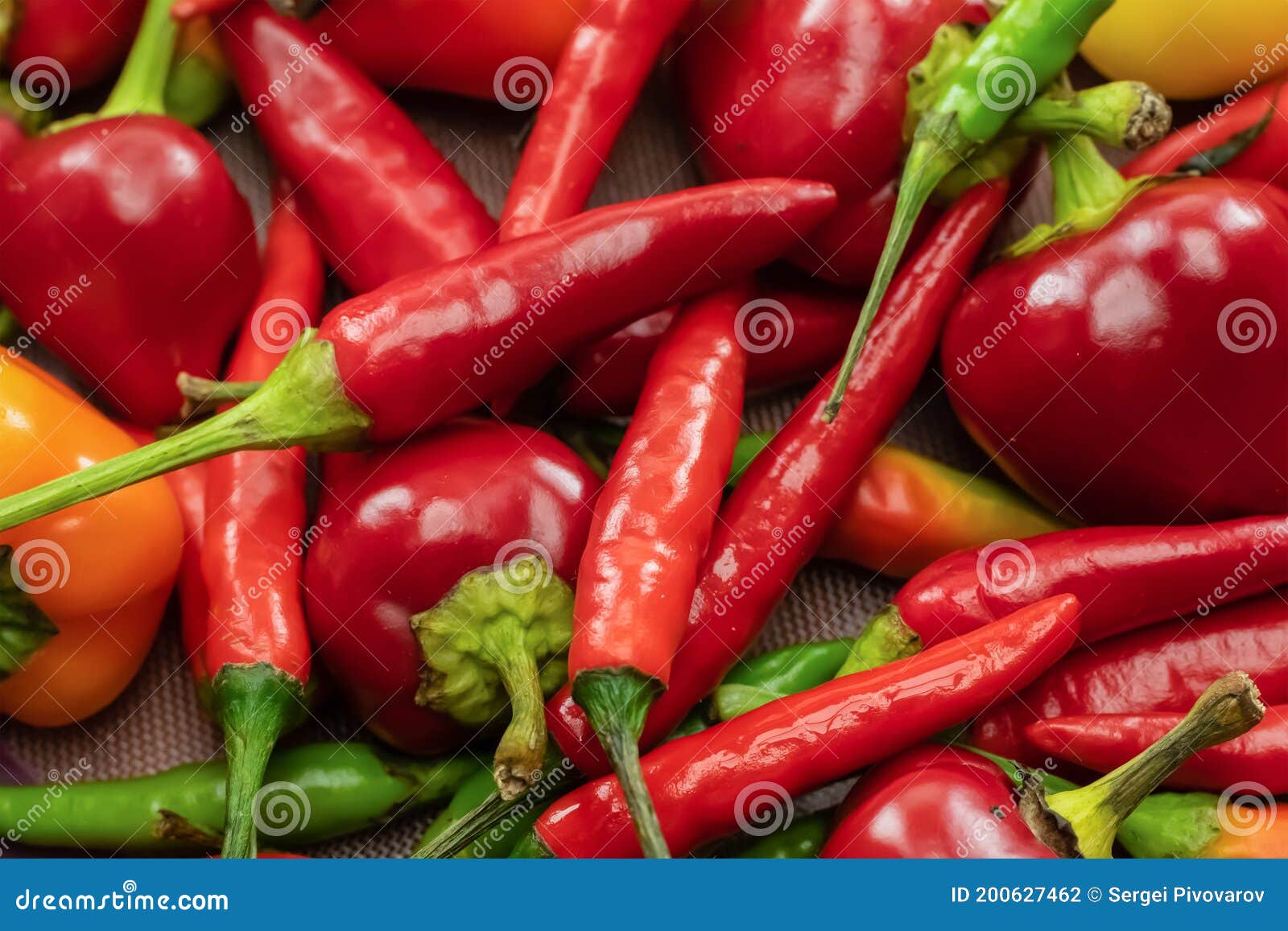 Bright Chili Pods Hot Pepper Red Many Vegetable Asia Pattern Stock ...