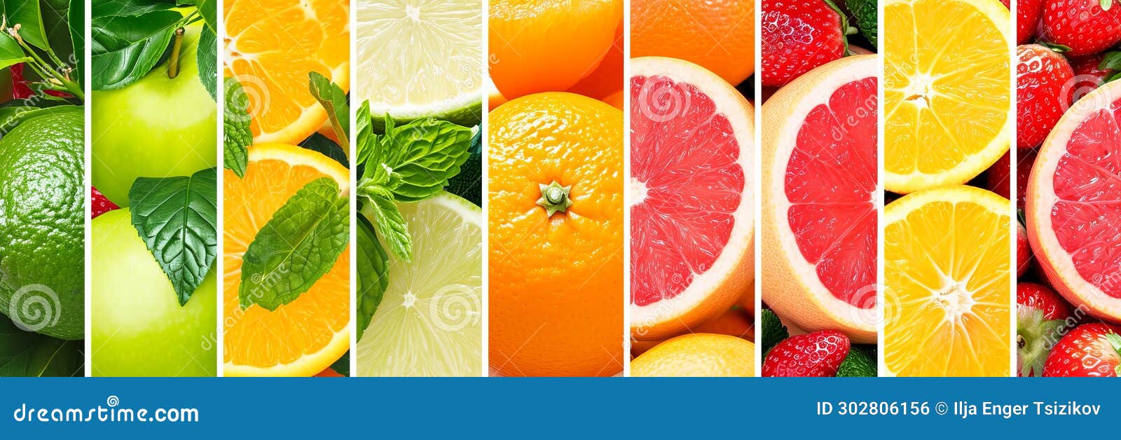 Bright Citrus Fruit Collage with Clean Dividers, 7 Segments ...