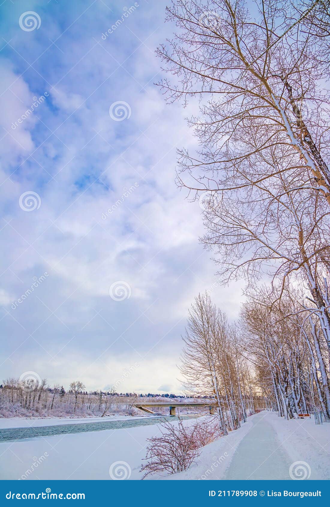 Ice Pathway through a Winter Park Stock Photo - Image of forest, snow ...
