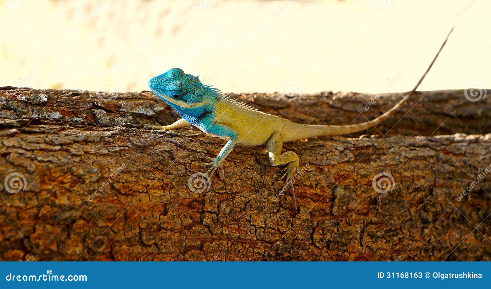Bright Color Lizard (pangolin) on a Tree Stock Image - Image of paws ...