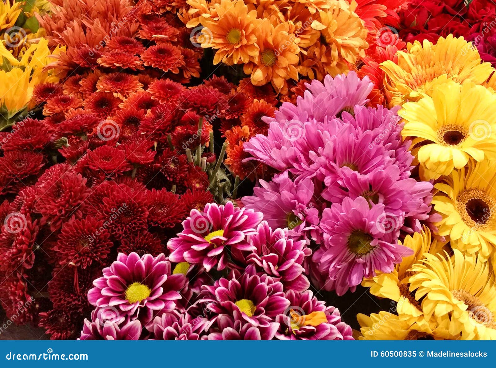 Bright Colored Flowers on Display Stock Image - Image of store, yellow ...