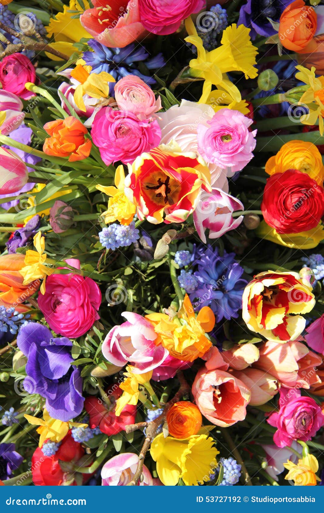 Bright Colored Spring Flower Bouquet Stock Photo - Image of arrangement ...