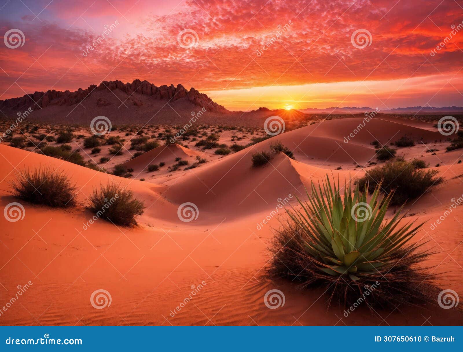 Bright Colored Sunset in the Desert. Desktop Wallpaper Stock ...