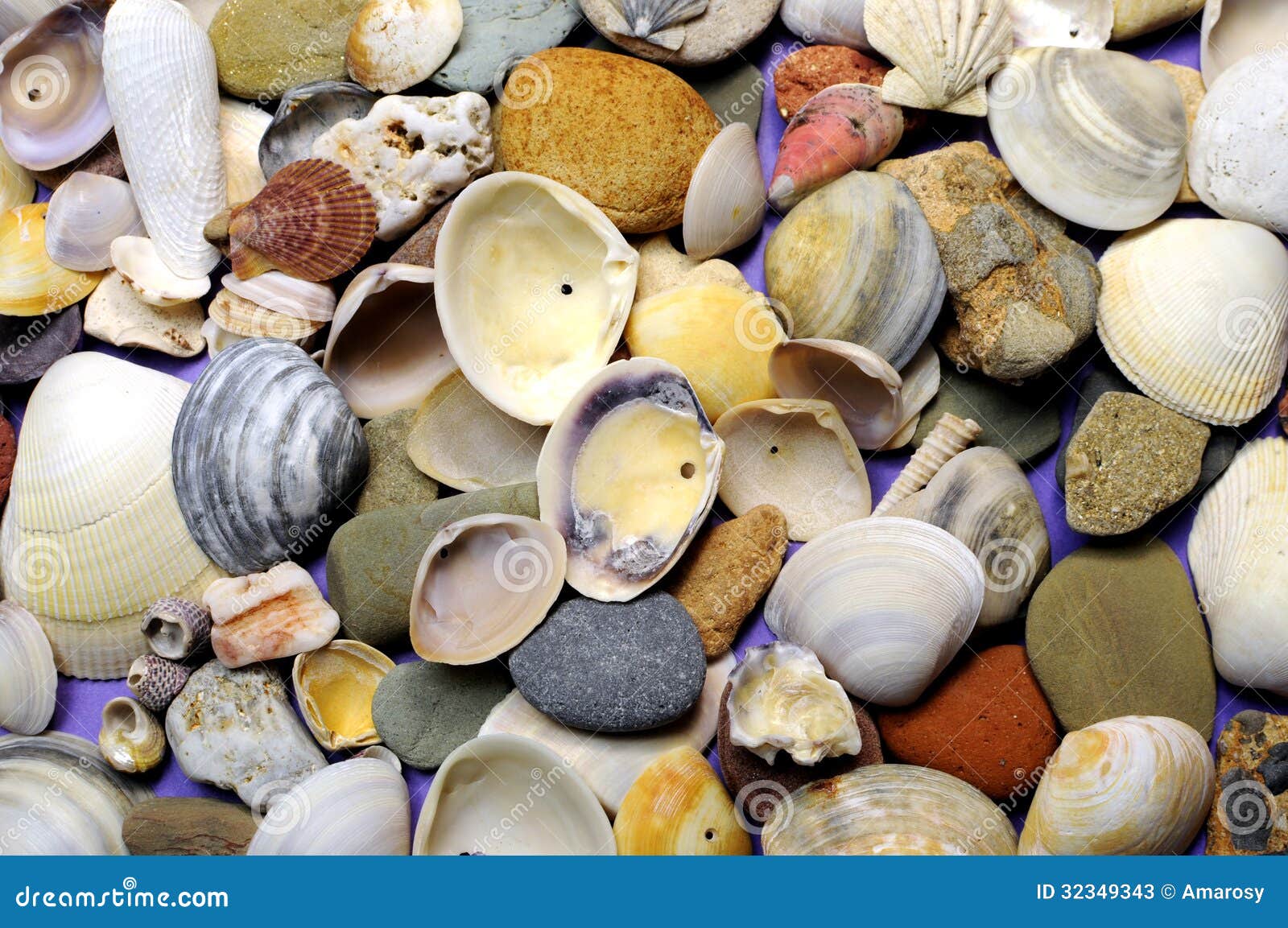 Bright and Colorful Beach Shells and Pebbles Background Stock Image ...