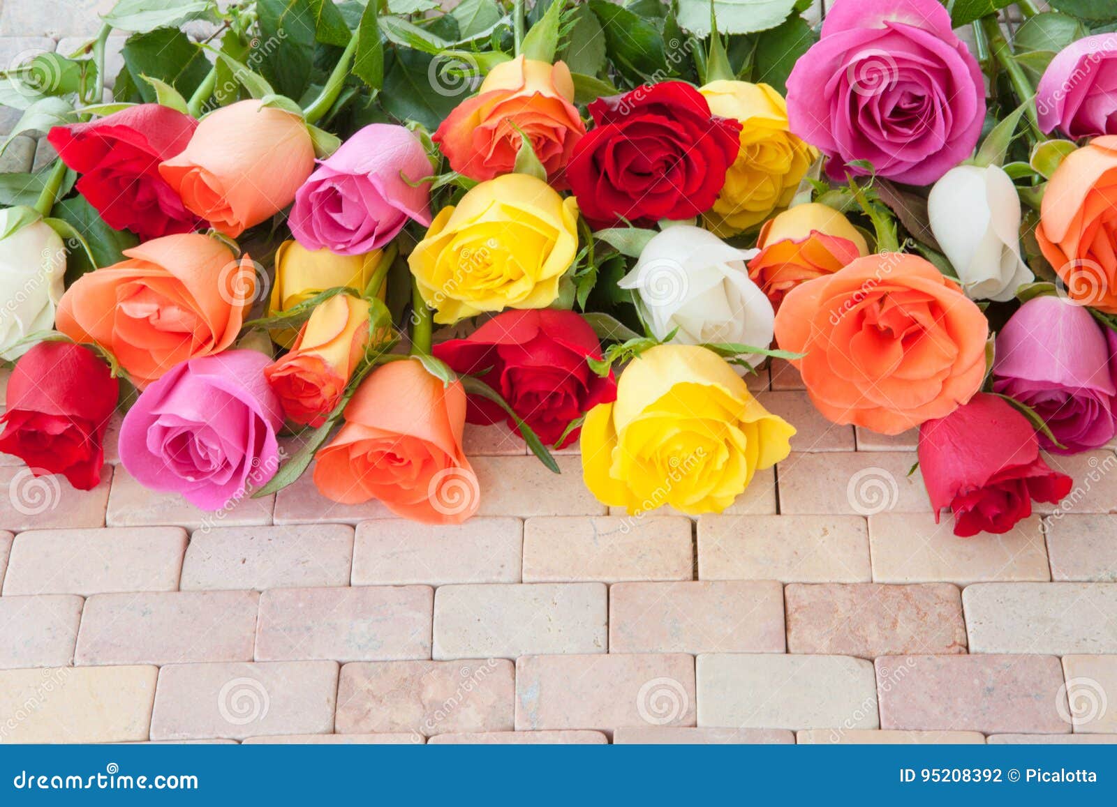 Bright colorful roses stock photo. Image of stone, fathersday - 95208392