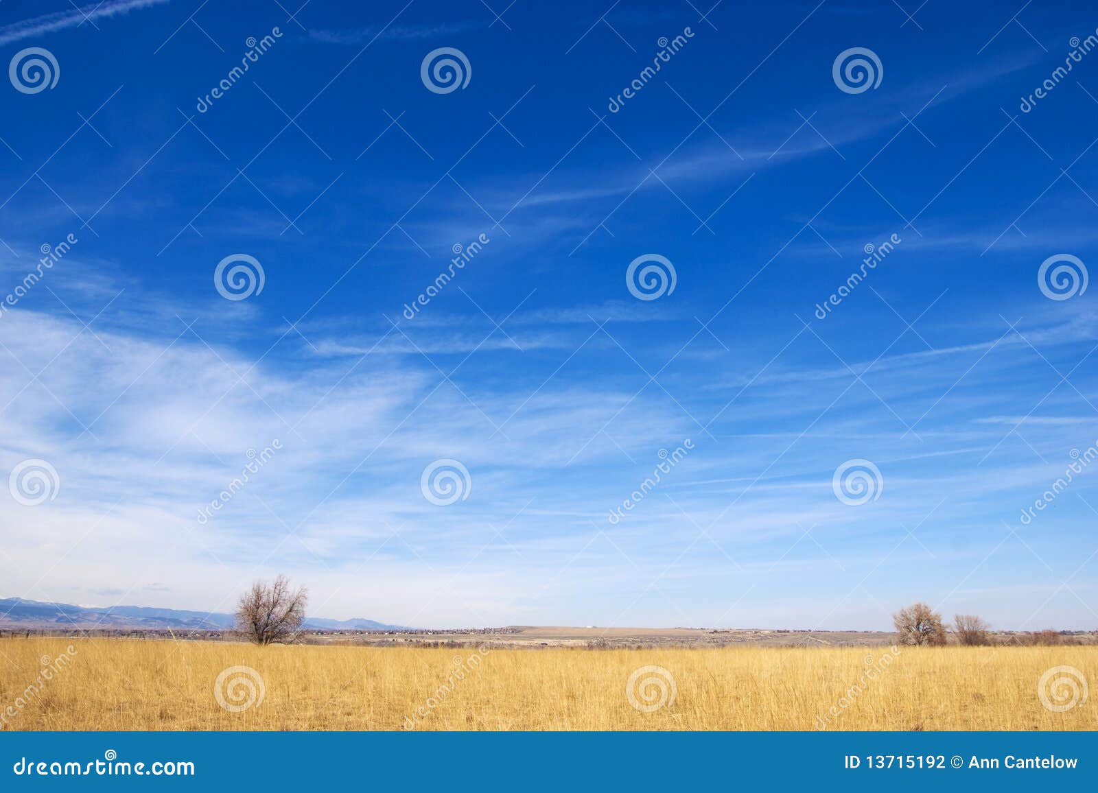 Bright Colors on the Colorado Prairie Stock Photo - Image of bare ...