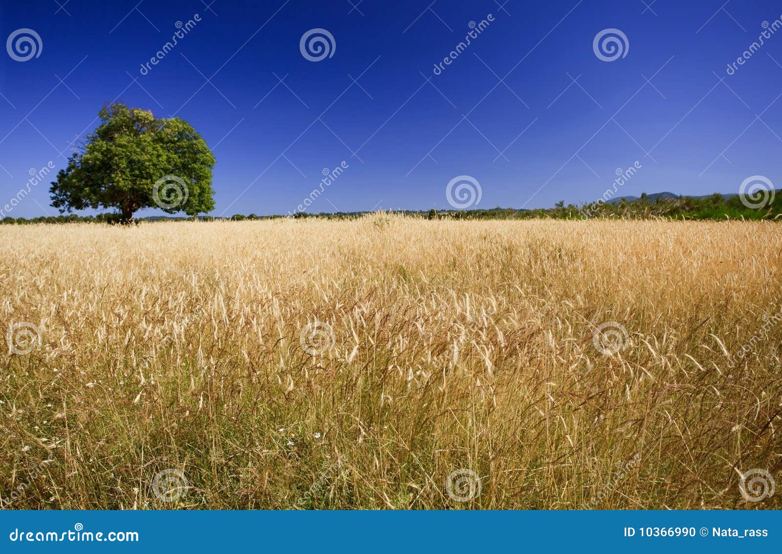 Bright Colors of Harvest Season Stock Photo - Image of farmland ...