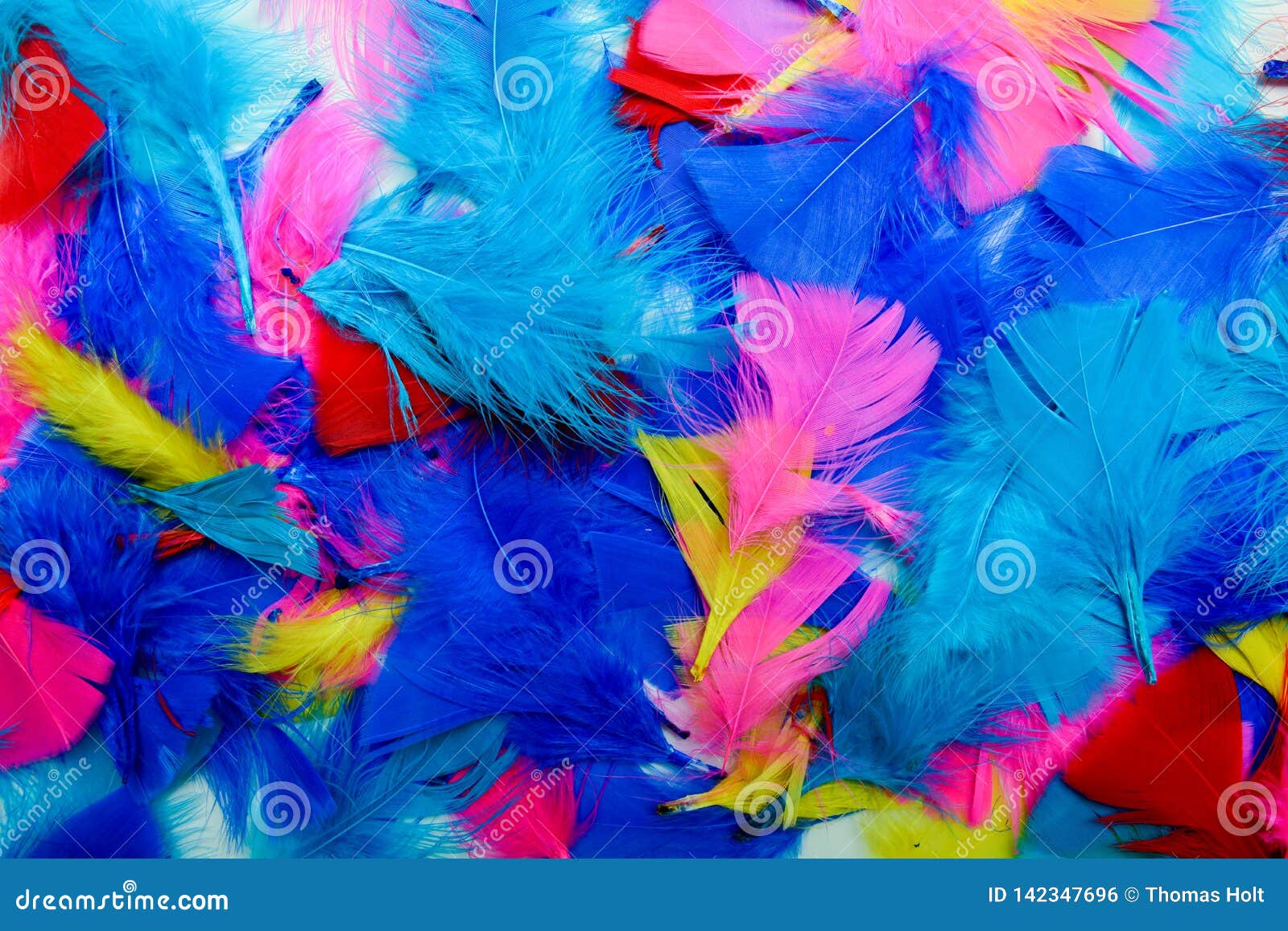 Bright and Colourful Feathers Arranged on a White Background Stock ...