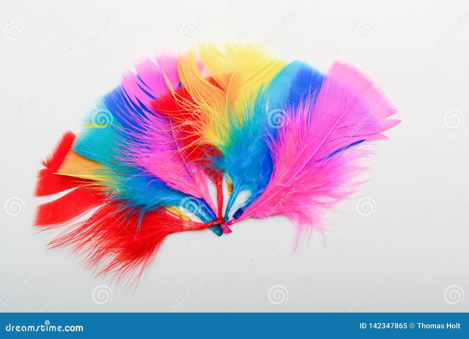 Bright and Colourful Feathers Arranged on a White Background Stock ...