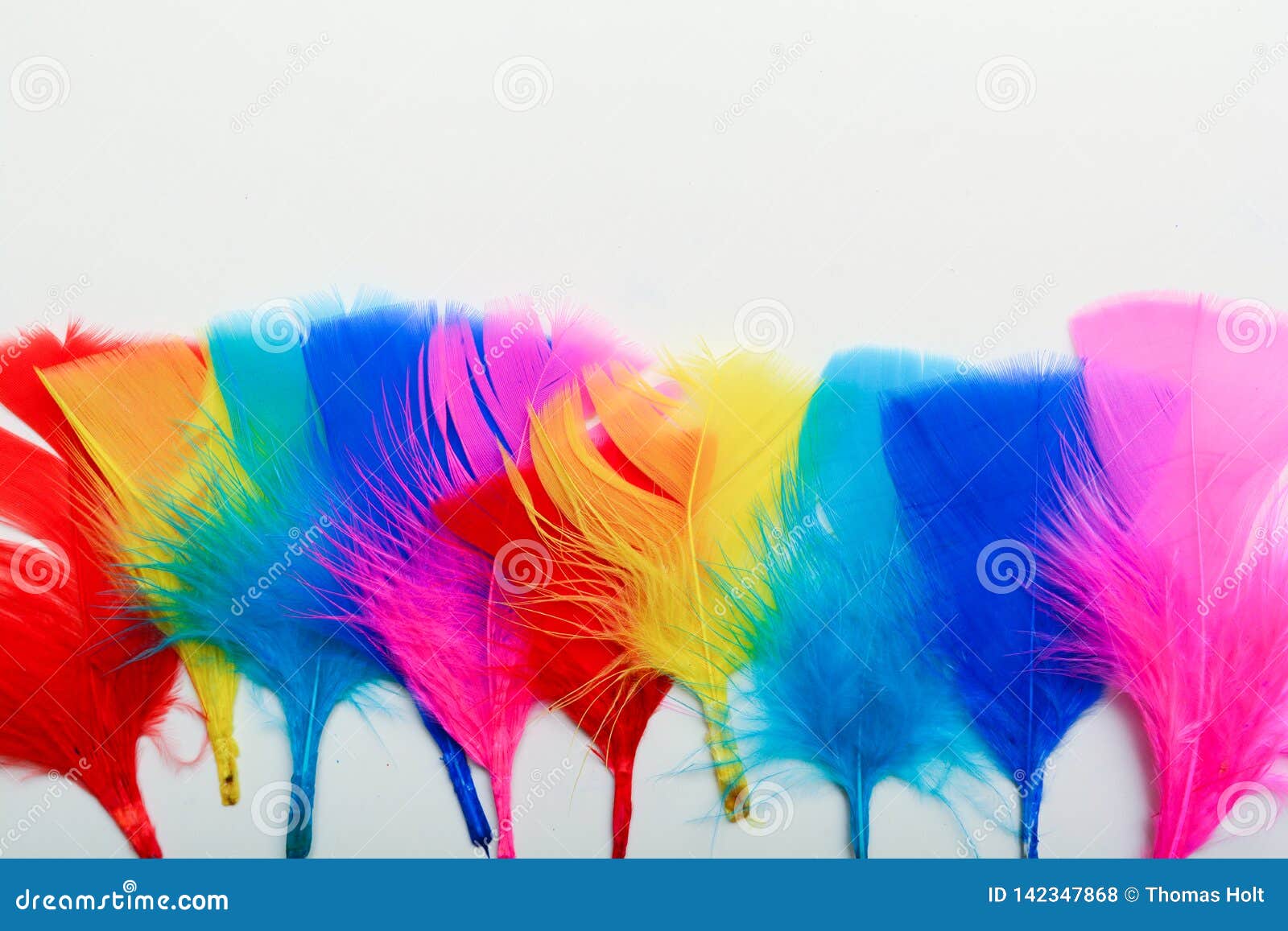 Bright and Colourful Feathers Arranged on a White Background Stock ...