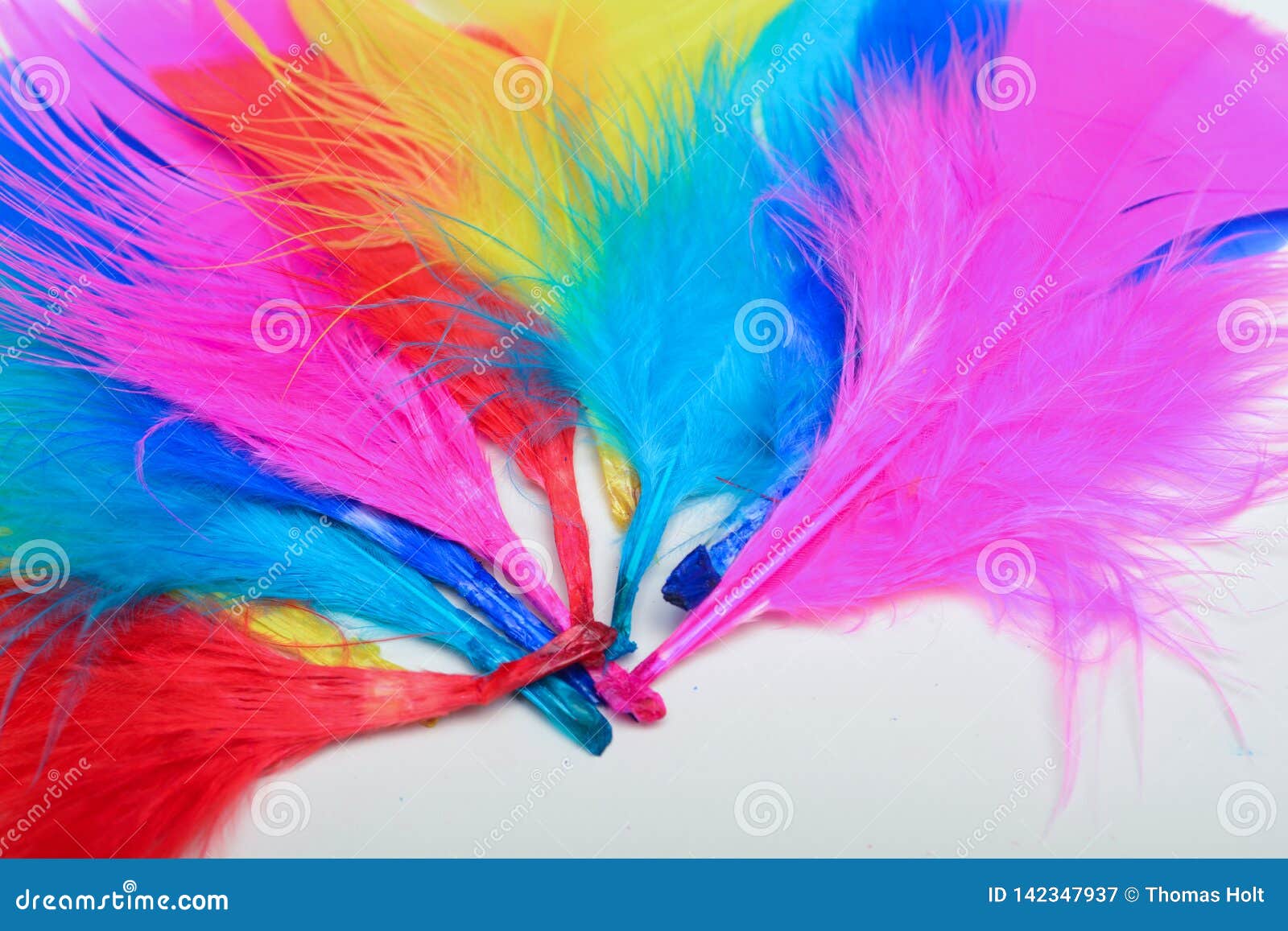 Bright and Colourful Feathers Arranged on a White Background Stock ...