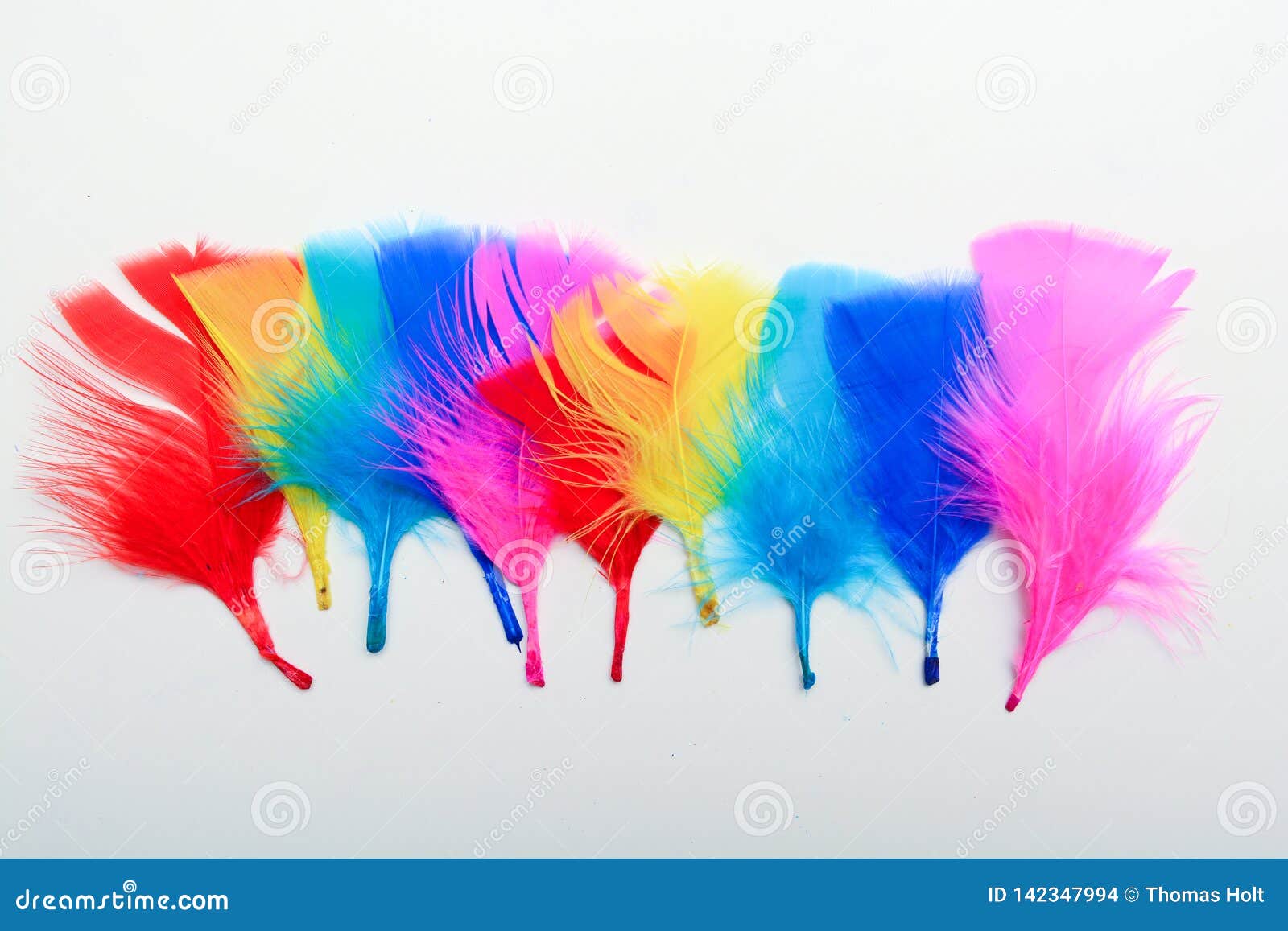 Bright and Colourful Feathers Arranged on a White Background Stock ...