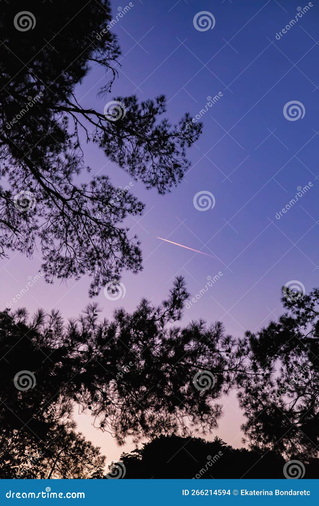 A Bright Comet in the Sky, a Shooting Star. Comet Tail at Sunset ...