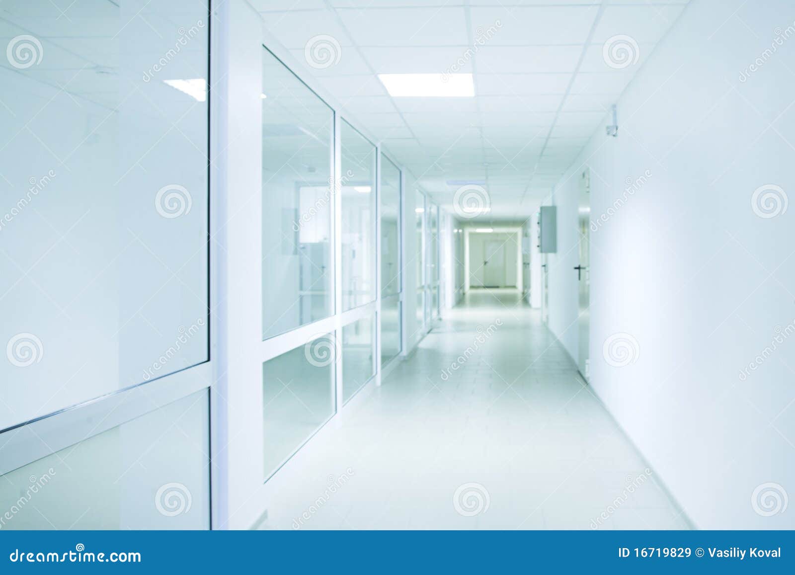 Bright corridor stock image. Image of business, corridor - 16719829