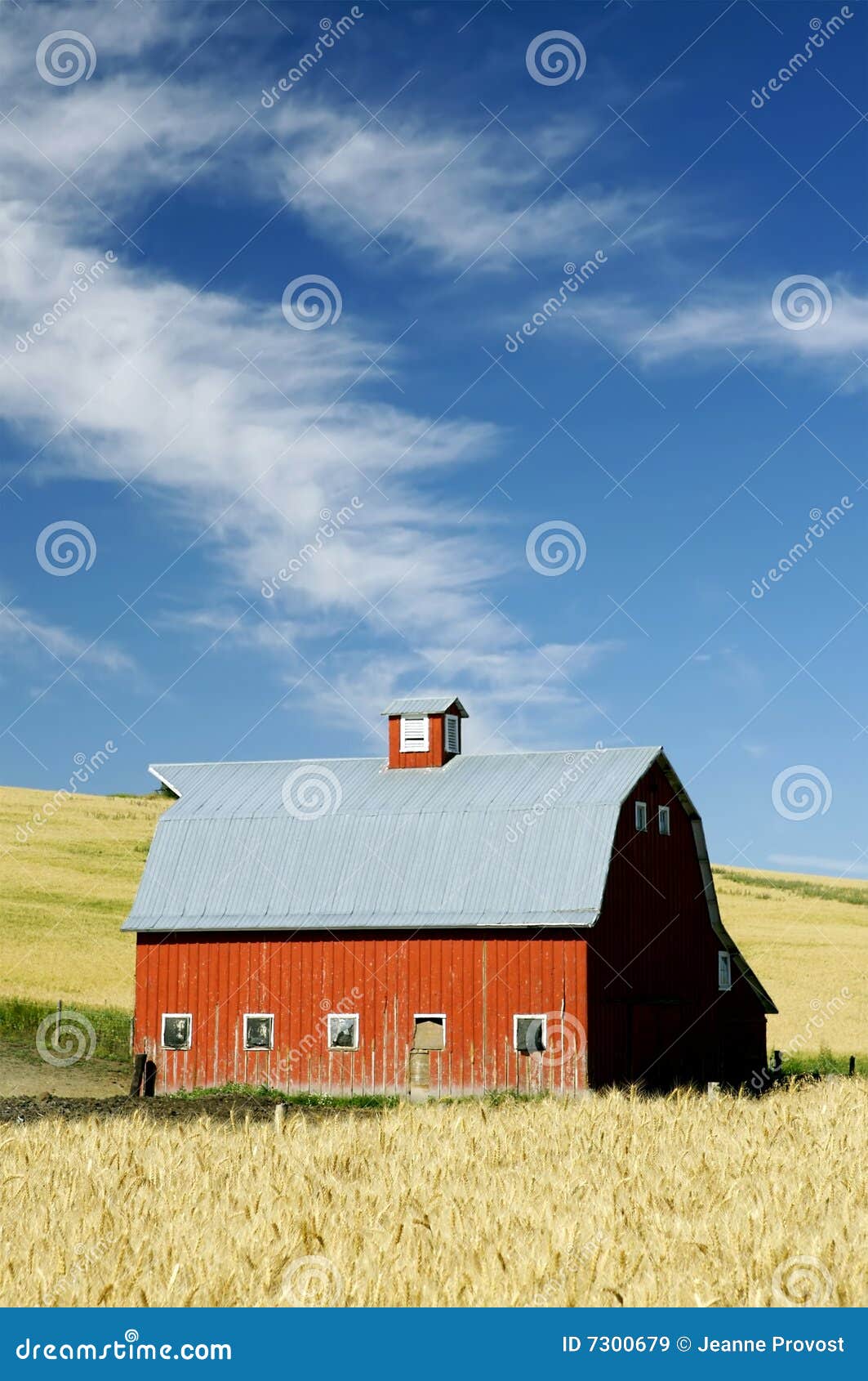 Bright Country Barn stock image. Image of architecture - 7300679