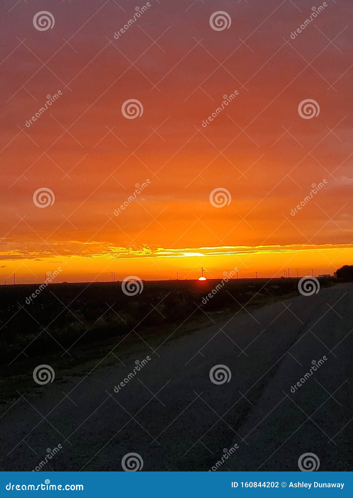 Bright crescent moon stock photo. Image of beautiful - 160844202