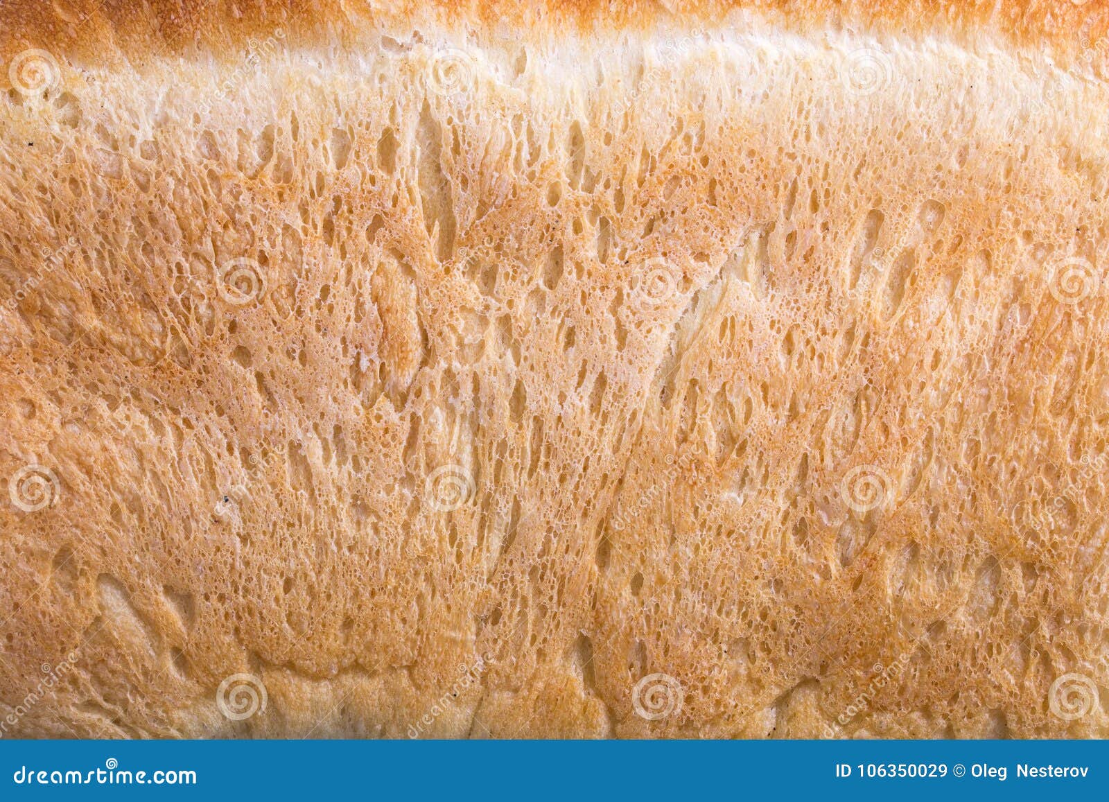 Bright Crust Texture of White Bread Stock Image - Image of brightly ...
