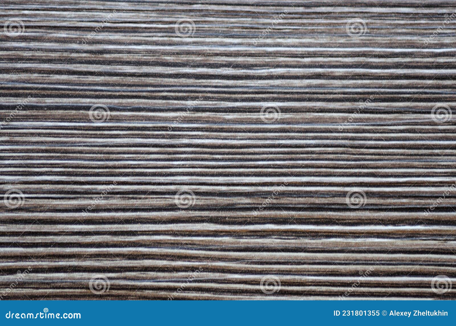 Bright Dark Walnut, Striped Natrall Wood Close-up Stock Image - Image ...