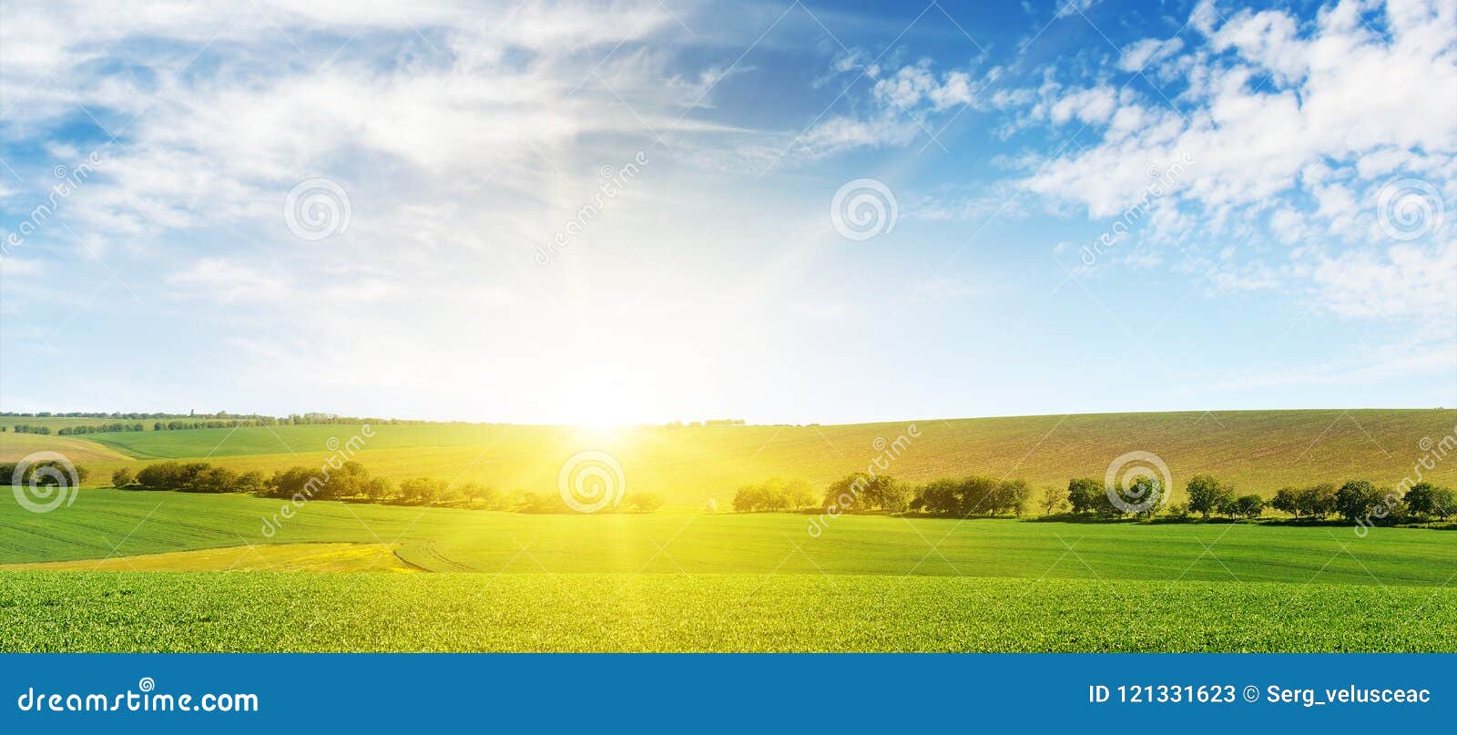Bright Dawn Over Corn Field. Stock Image - Image of landscape, daybreak ...