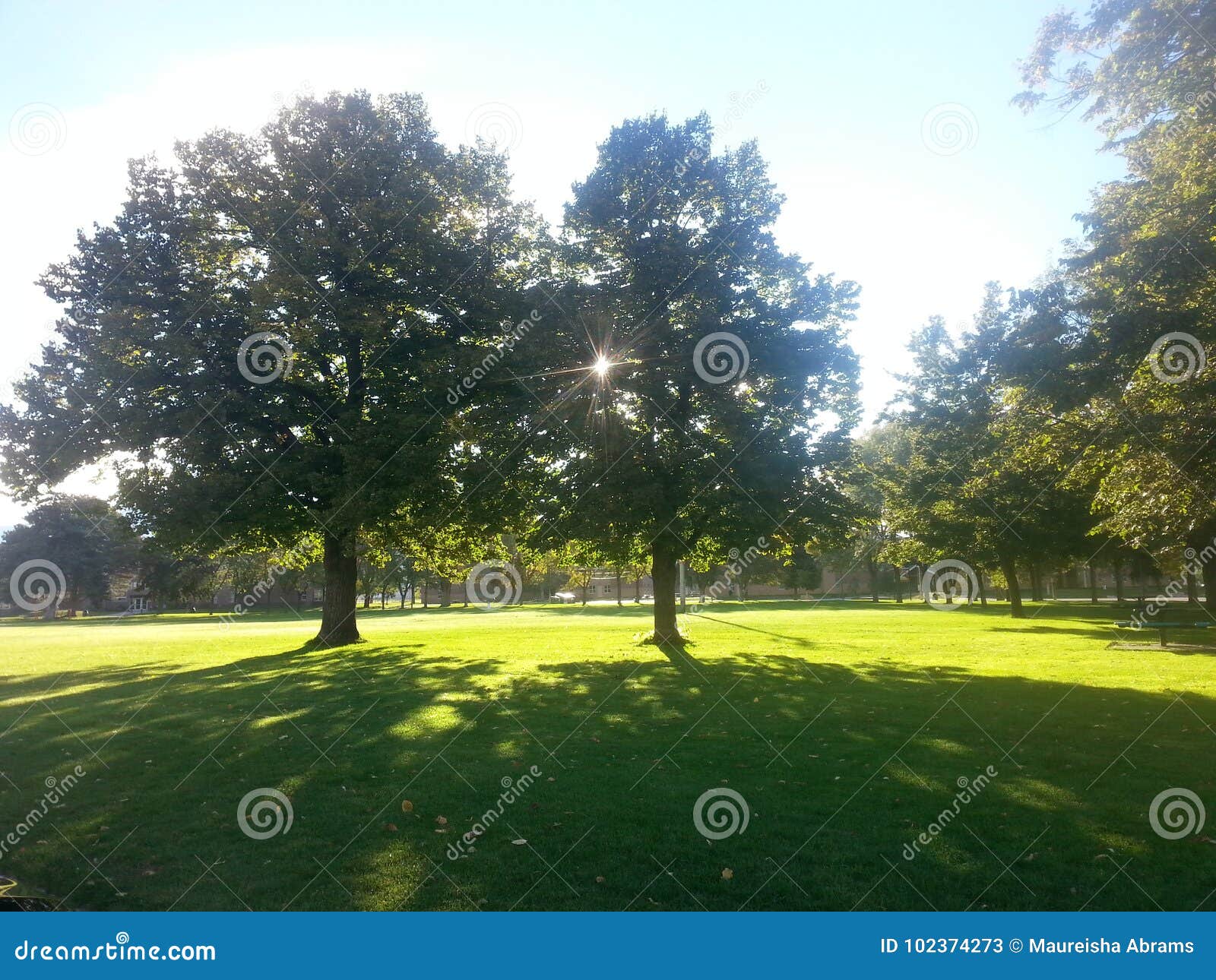 A sunny day in the park stock image. Image of outdoors - 102374273