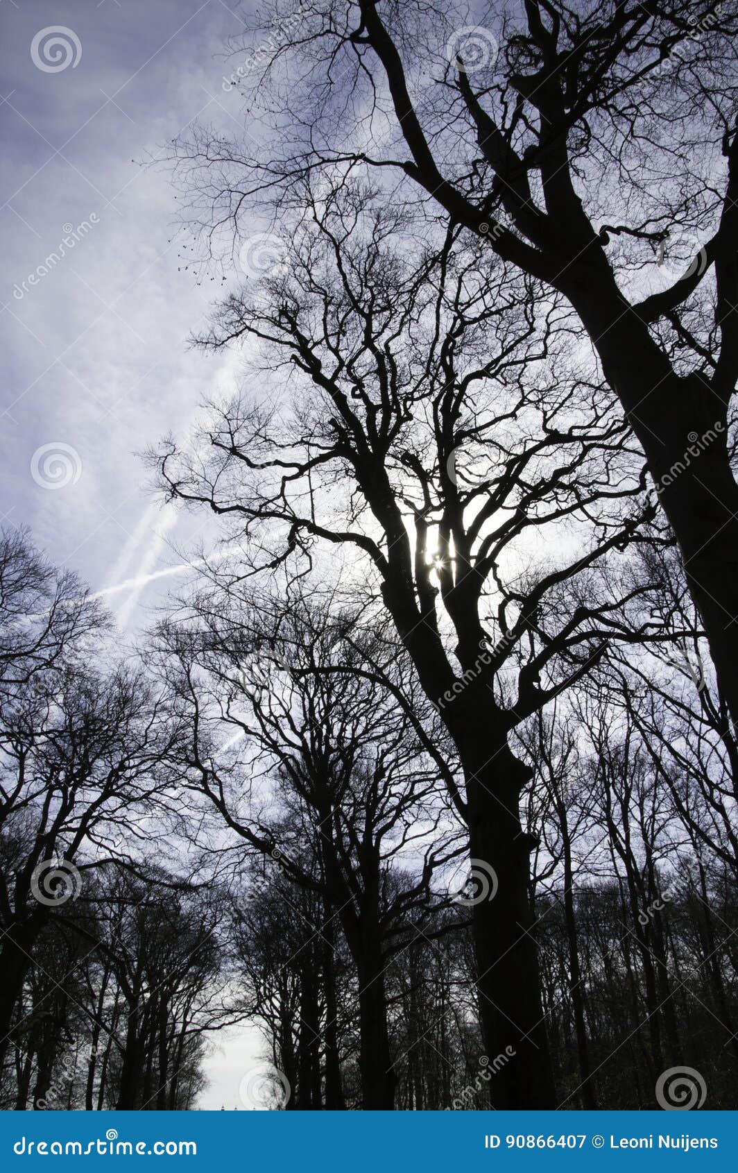 Incoming Sunlights Stock Photos - Free & Royalty-Free Stock Photos from ...