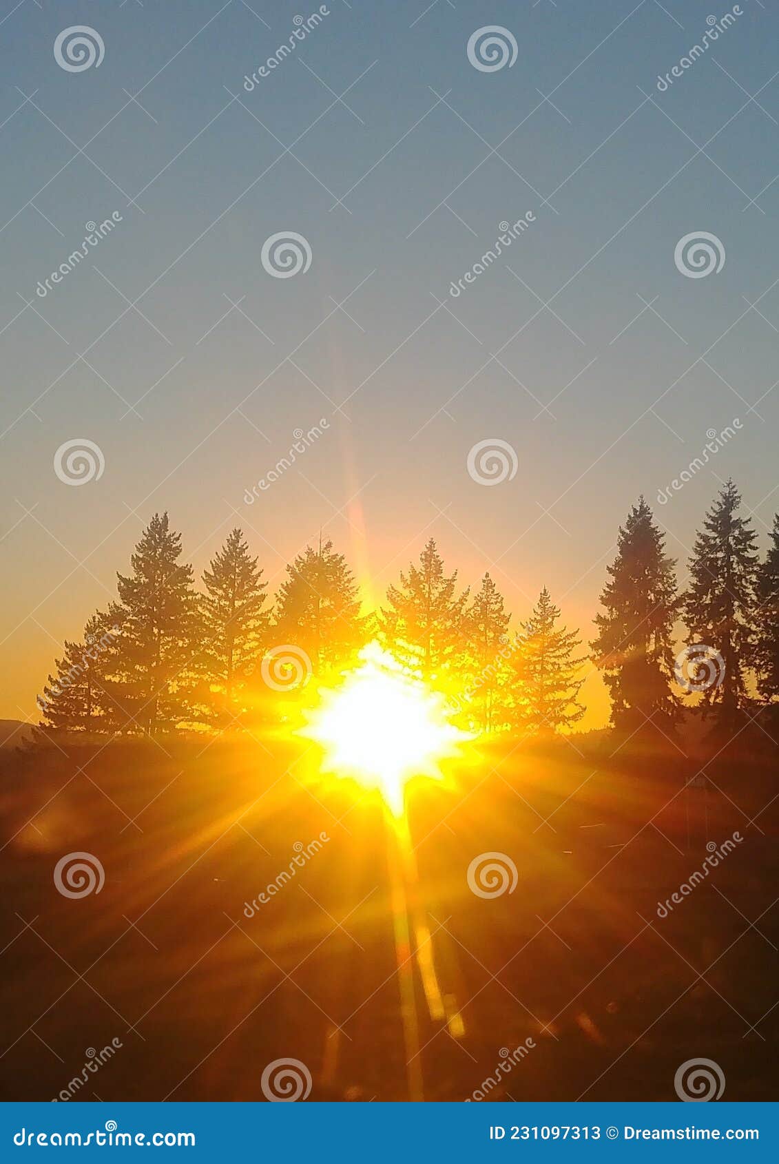 Bright days are coming stock image. Image of evening - 231097313