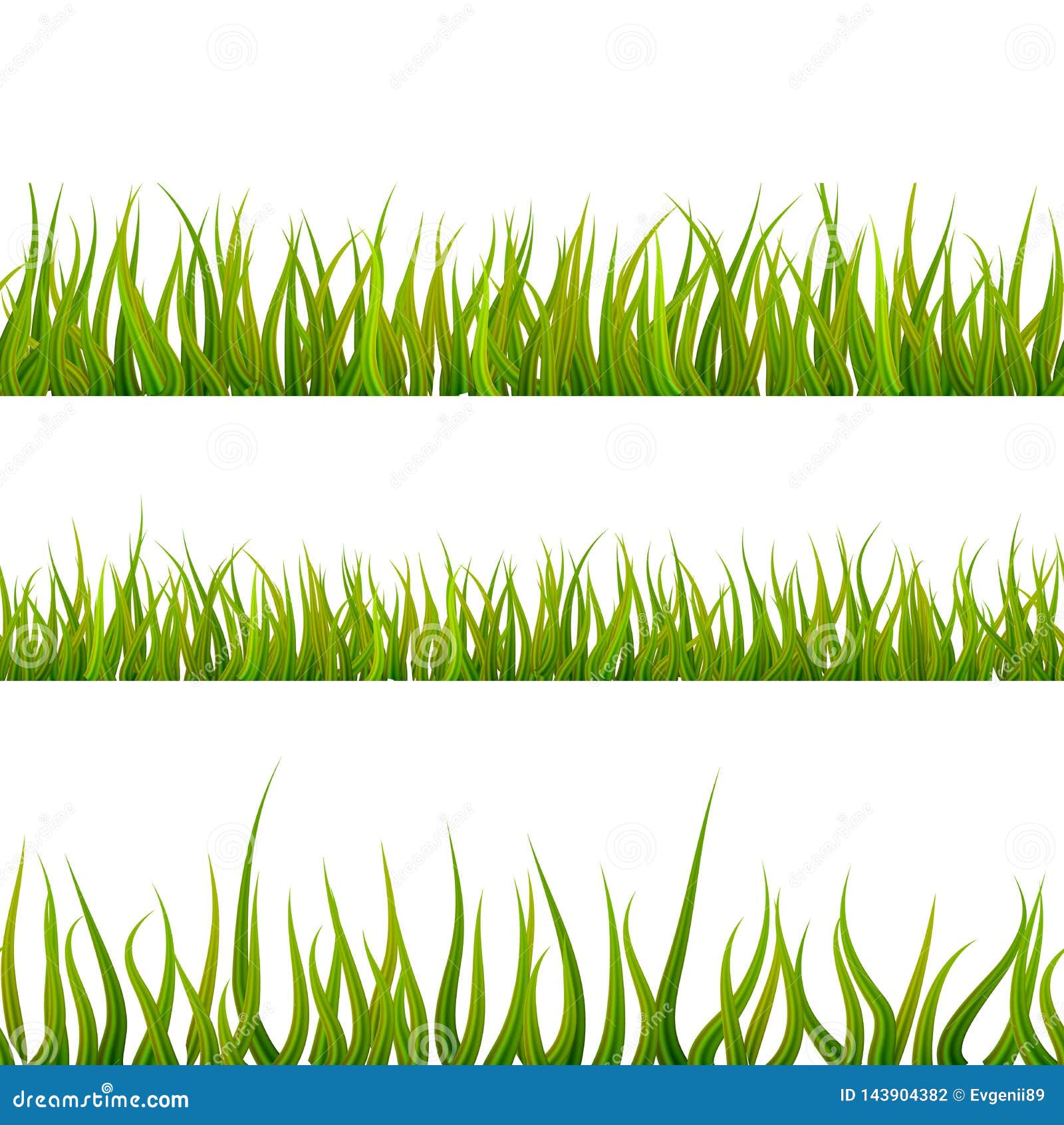 Bright Detailed Deoxyribonucleic Acid With Four Main Nucleobases, Infographic On White Cartoon ...