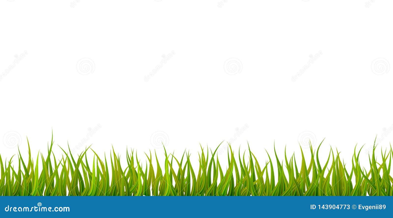 Bright Detailed Deoxyribonucleic Acid With Four Main Nucleobases, Infographic On White Cartoon ...