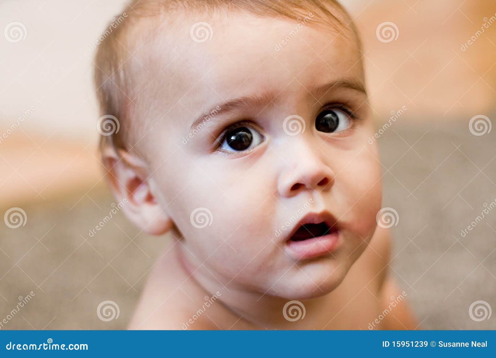 Bright-eyed baby face stock image. Image of nine, looks - 15951239