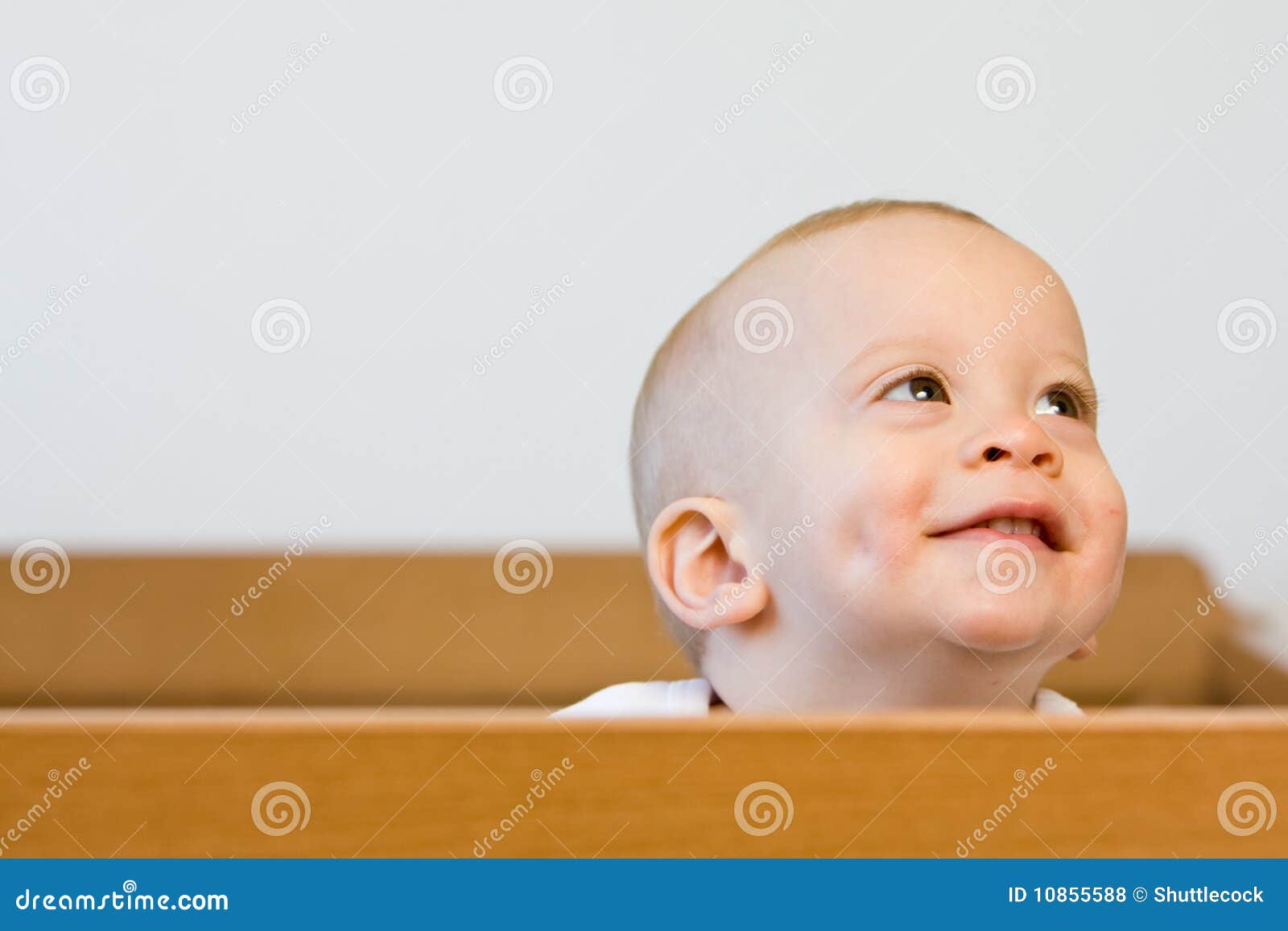 Bright Eyed Young Baby or Child Stock Photo - Image of portrait ...