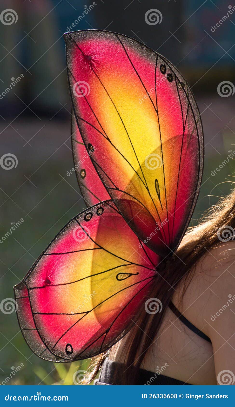 Bright Fairy Wings on Back of Woman Stock Photo - Image of back, fairy ...