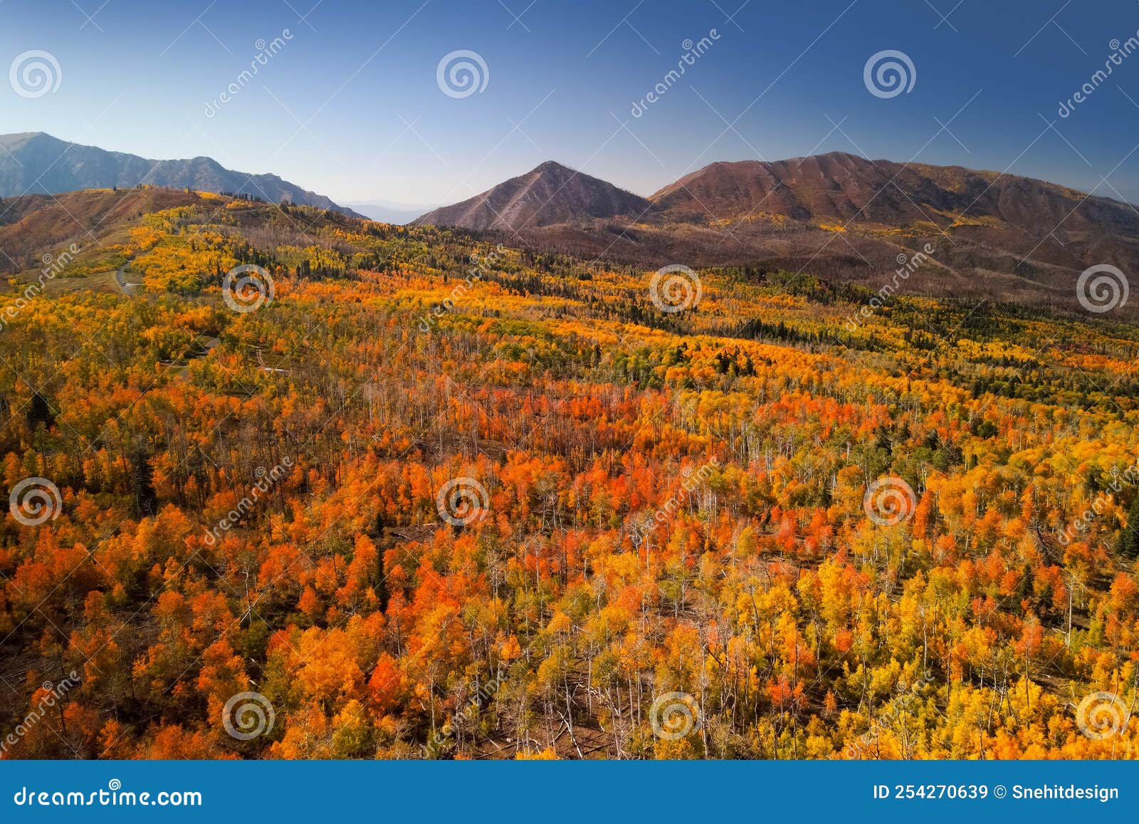 Bright Fall Foliage Along Mt Nebo Loop in Utah Stock Image - Image of ...