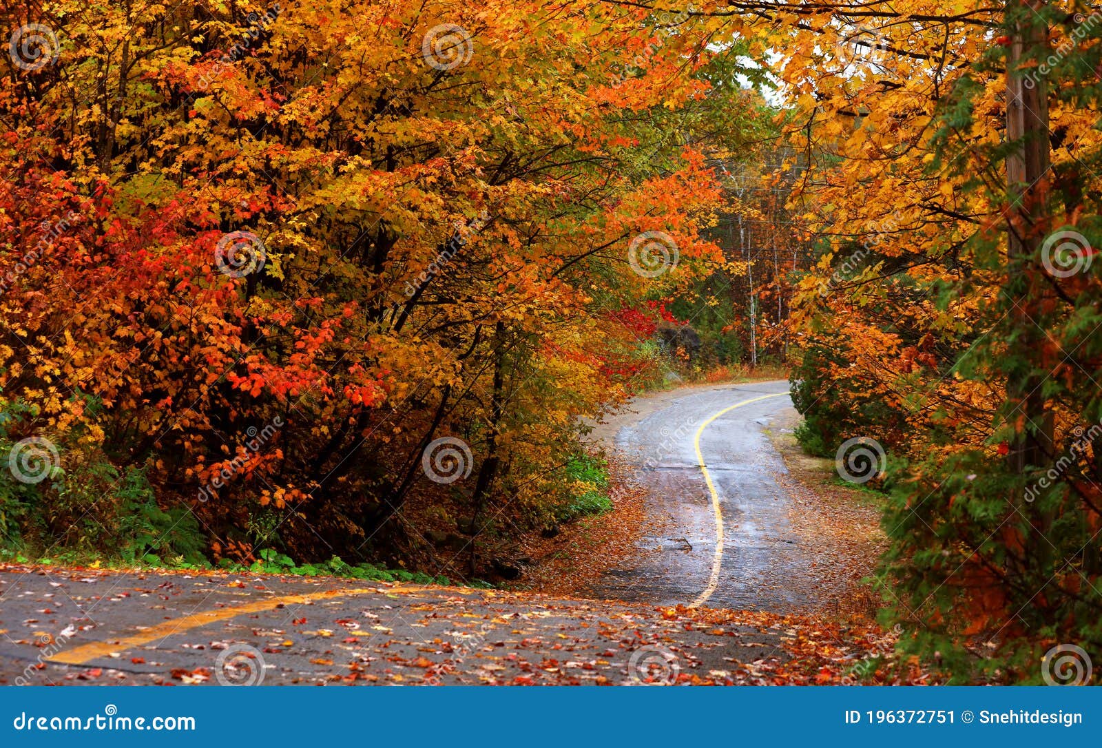 Bright Fall Foliage Along Scenic Biking Trail Stock Image - Image of ...