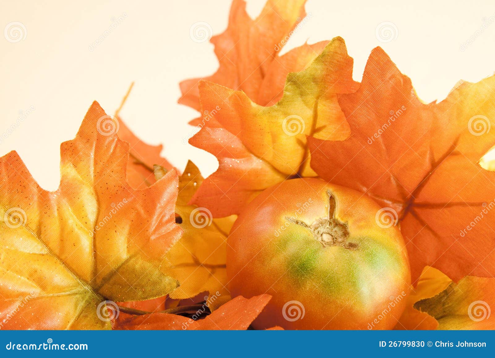 Bright Fall Leaves and Tomato Stock Photo - Image of tomato, leaves ...