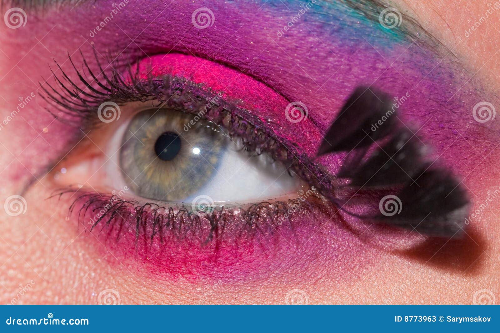 Bright Fashionable Eye with Feathers on Eyelashes Stock Image - Image ...