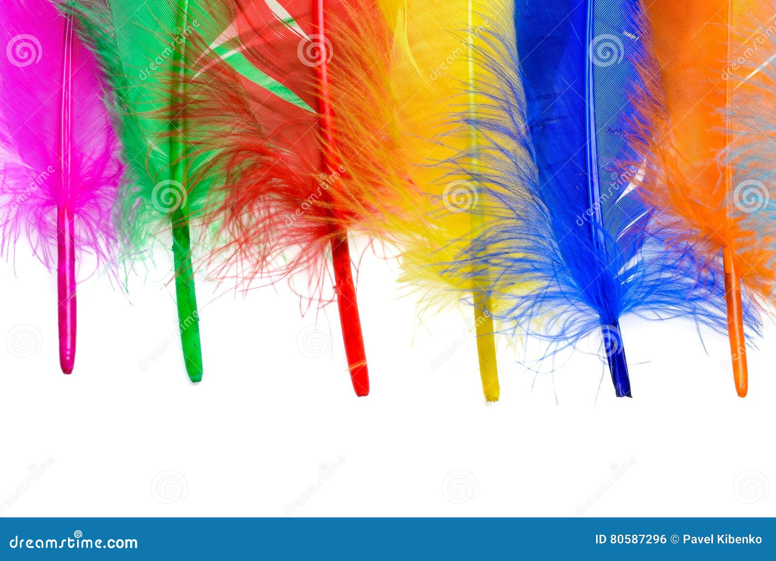 Bright feathers background stock photo. Image of closeup - 80587296