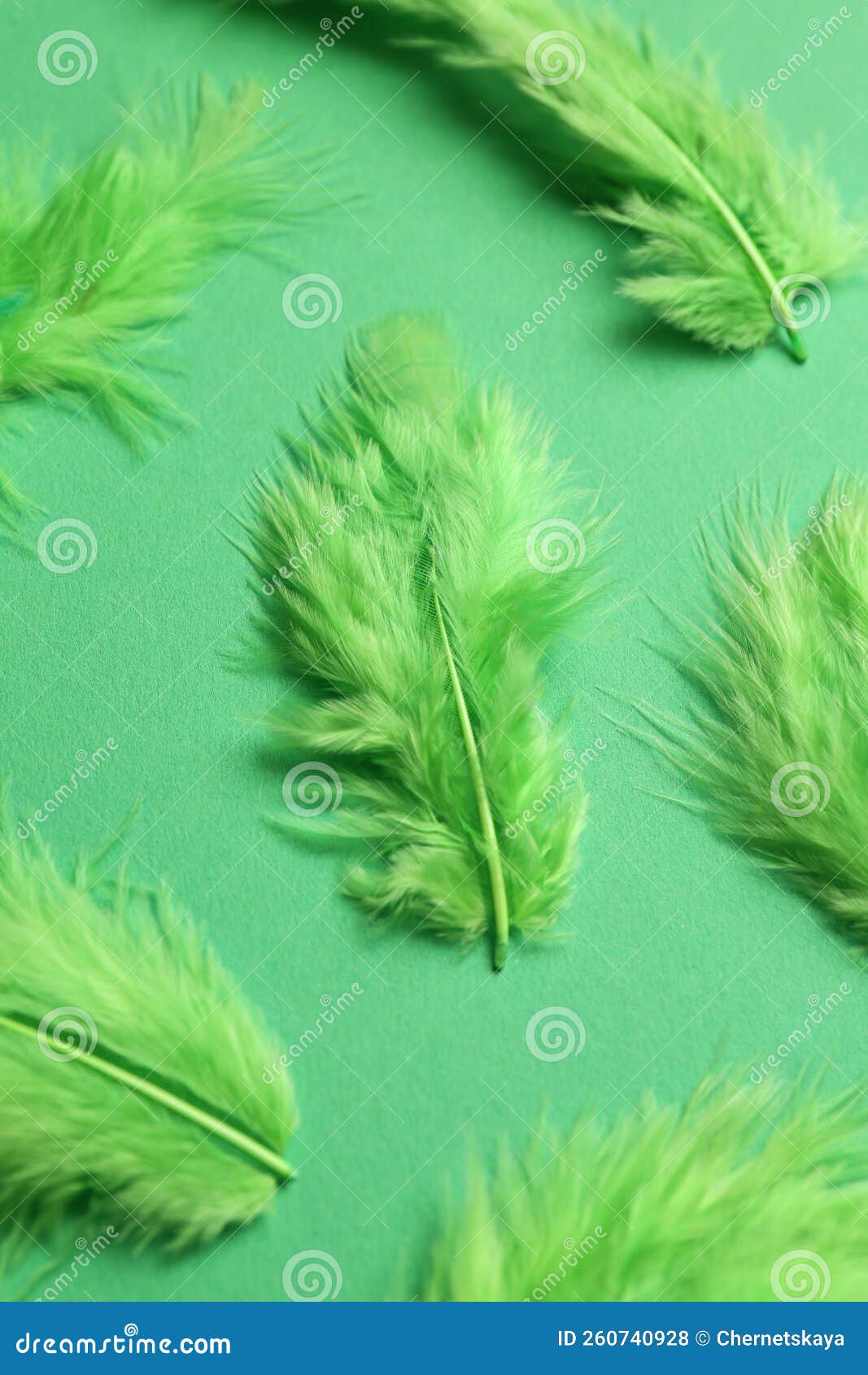 Bright Feathers on Green Background, Flat Lay Stock Photo - Image of ...