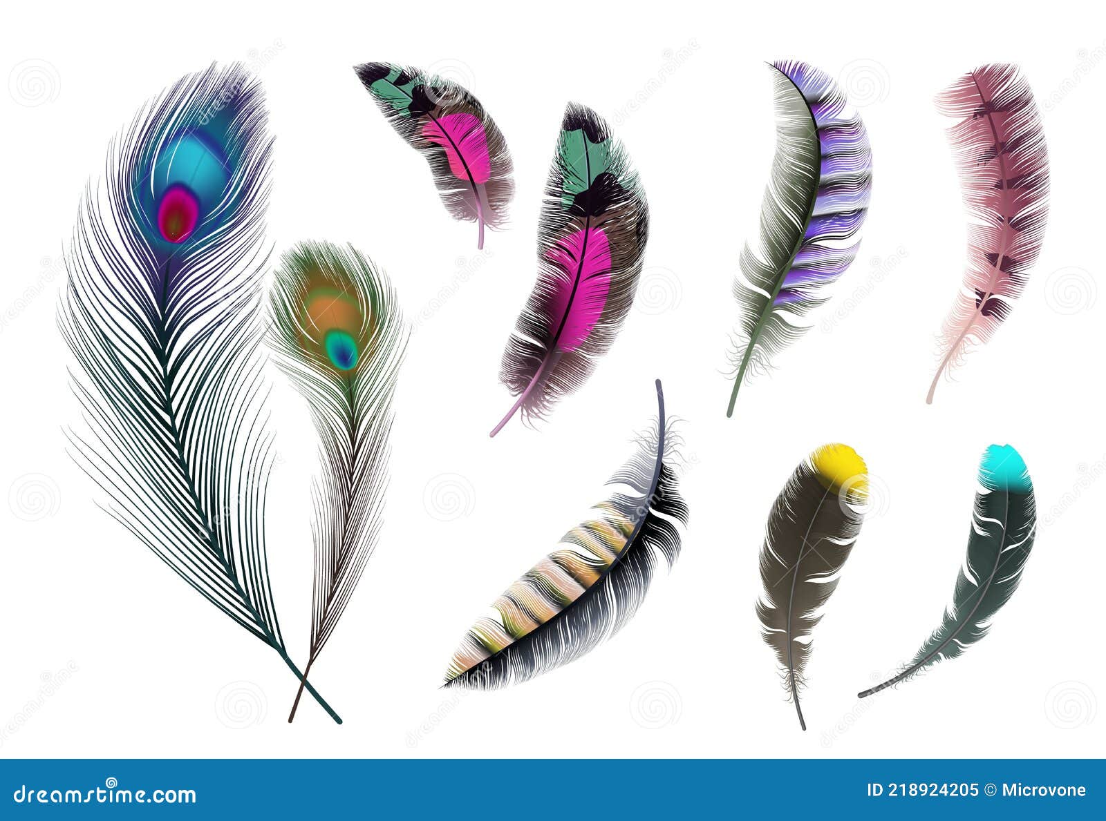 Bright Feathers. Neon Color Decorative Feather, Peacock Accessory Stock ...