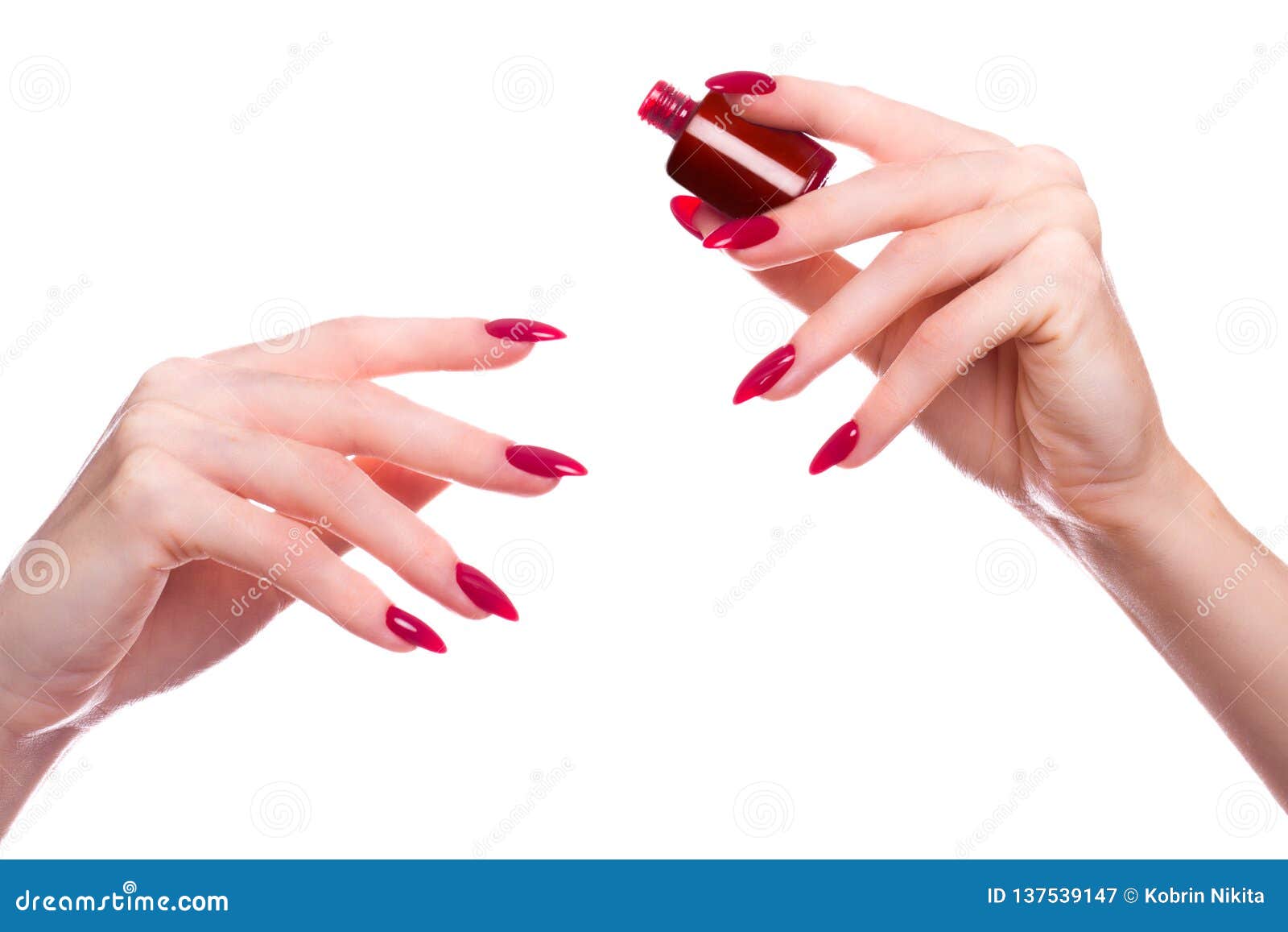 Bright Festive Red Manicure on Female Hands. Nails Design Stock Image ...
