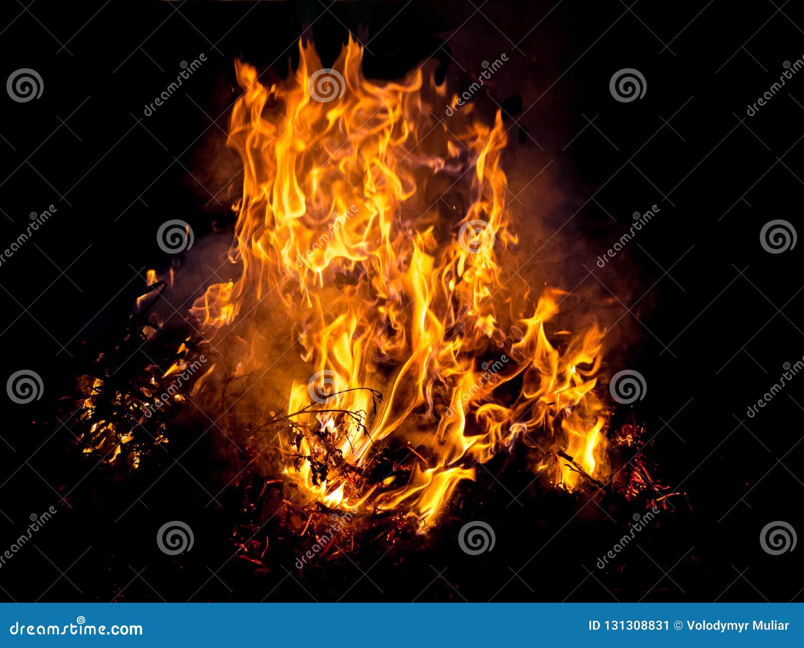 Bright Fire on a Black Background. Fire in the Forest at Night D Stock ...
