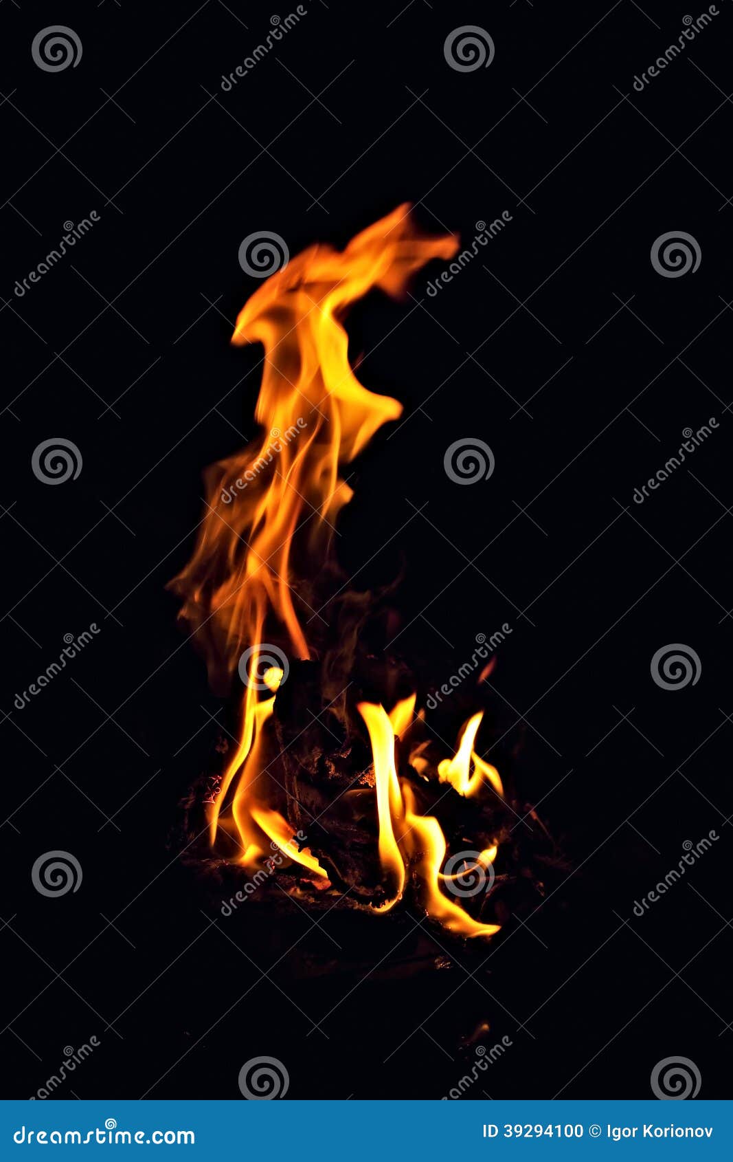 Bright Fire Burning in the Dark Stock Photo - Image of bonfire, vibrant ...