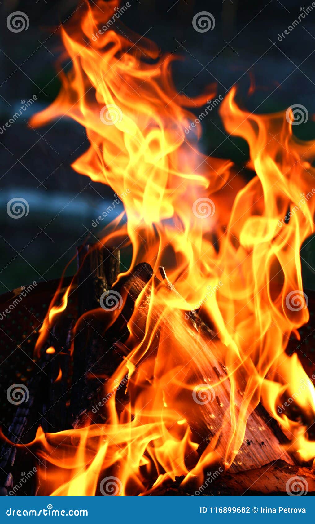 Bright Fire on Burning Wood Stock Photo - Image of ashes, glow: 116899682