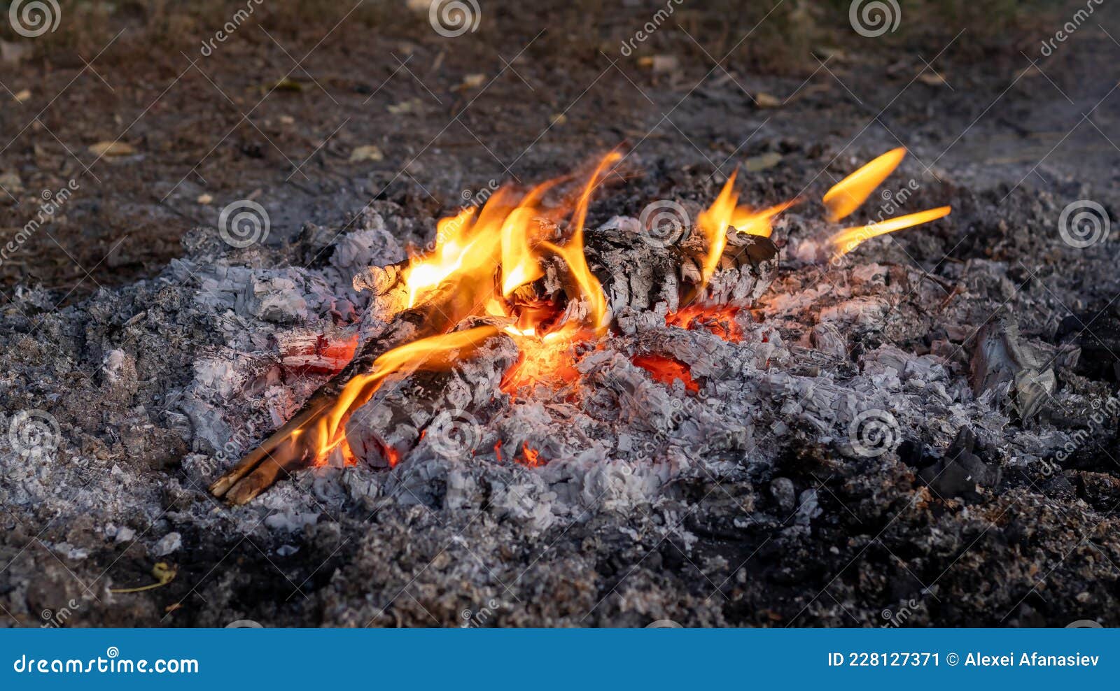 The Bright Fire of a Campfire Burning Down in the Night Stock Image ...