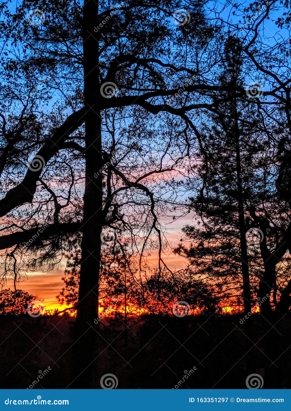 Bright firey sunset sky stock image. Image of skiestwo - 163351297