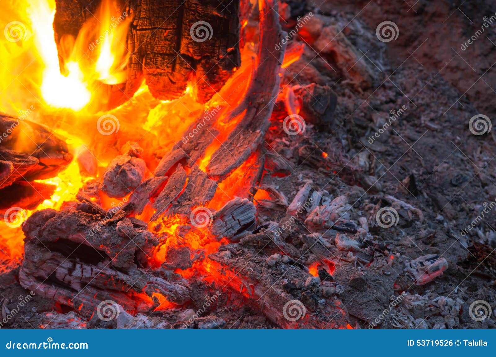 Bright Flame of the Burning Bonfire Stock Photo - Image of nature, open ...