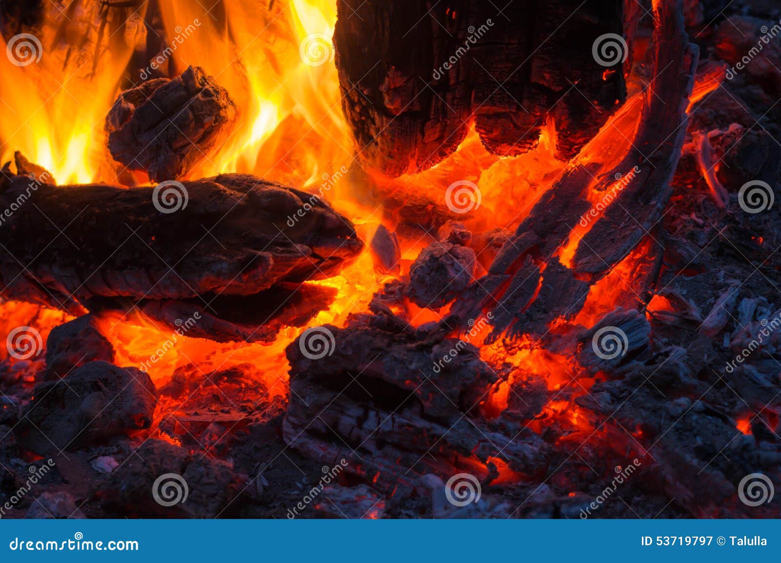 Bright Flame of the Burning Bonfire Stock Image - Image of branches ...