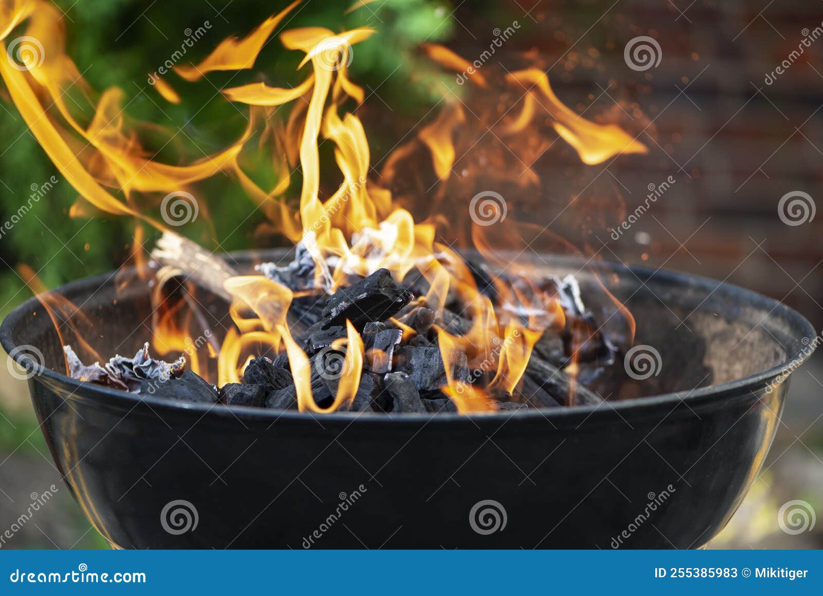 Bright Flame of a Fire in a Brazier with Firewood Stock Image - Image ...