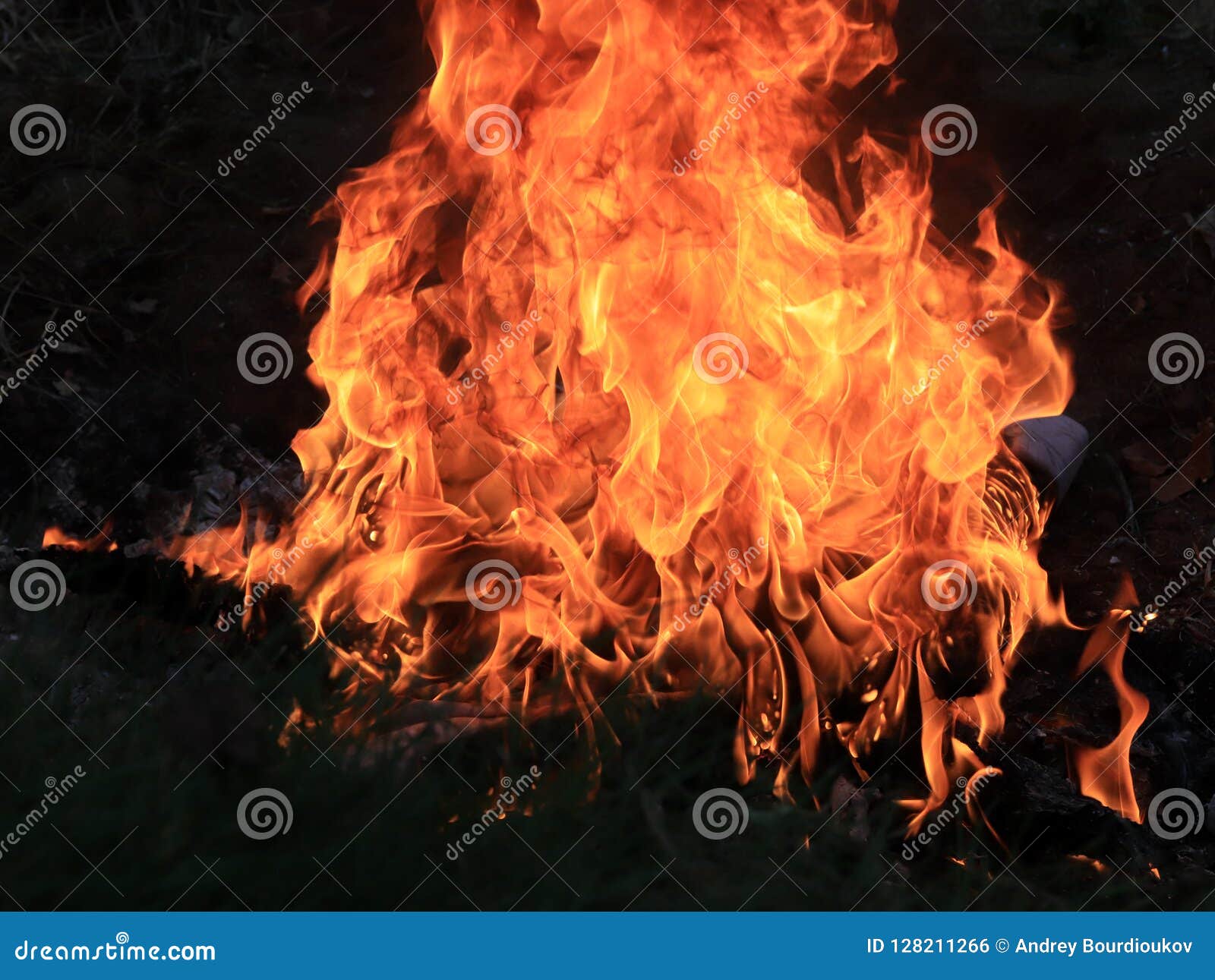 Bright Flame of Wildfire Fire Stock Photo - Image of area, ecology ...