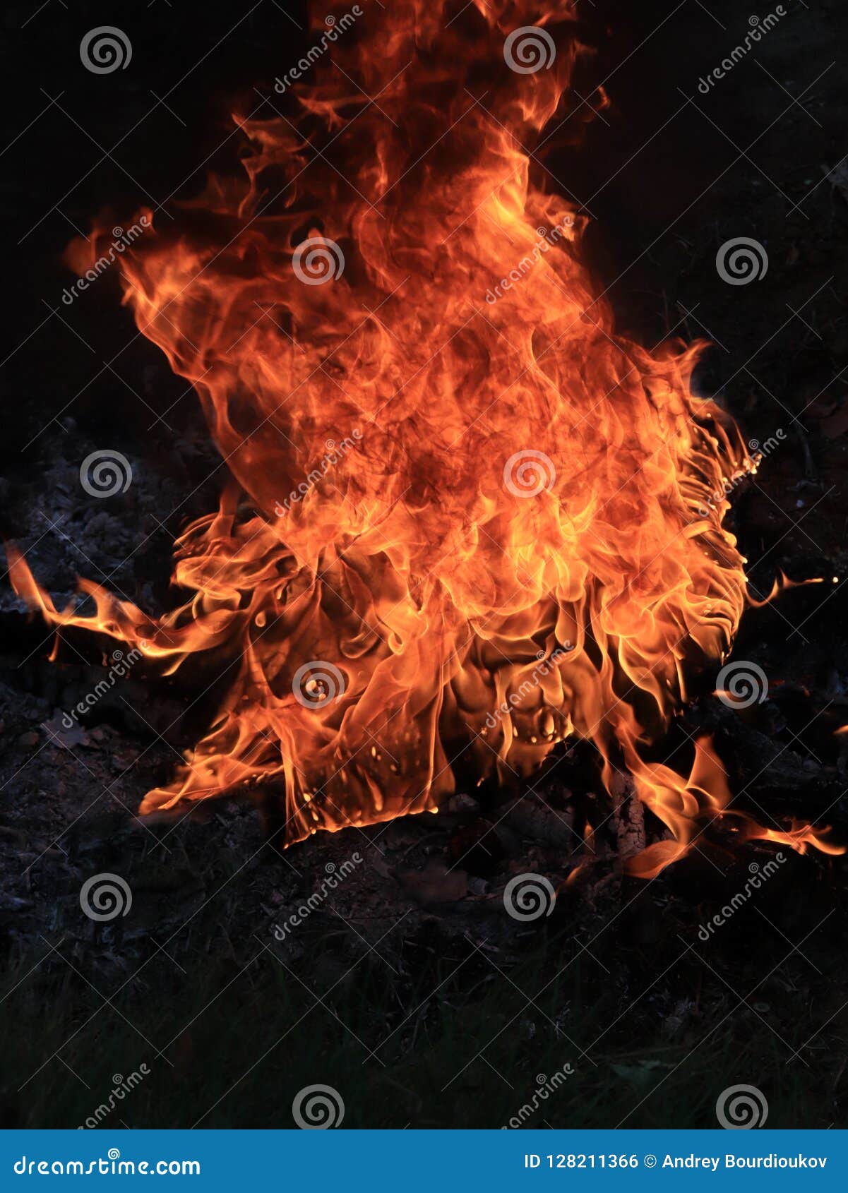Bright Flame of Wildfire Fire Stock Photo - Image of dark, color: 128211366